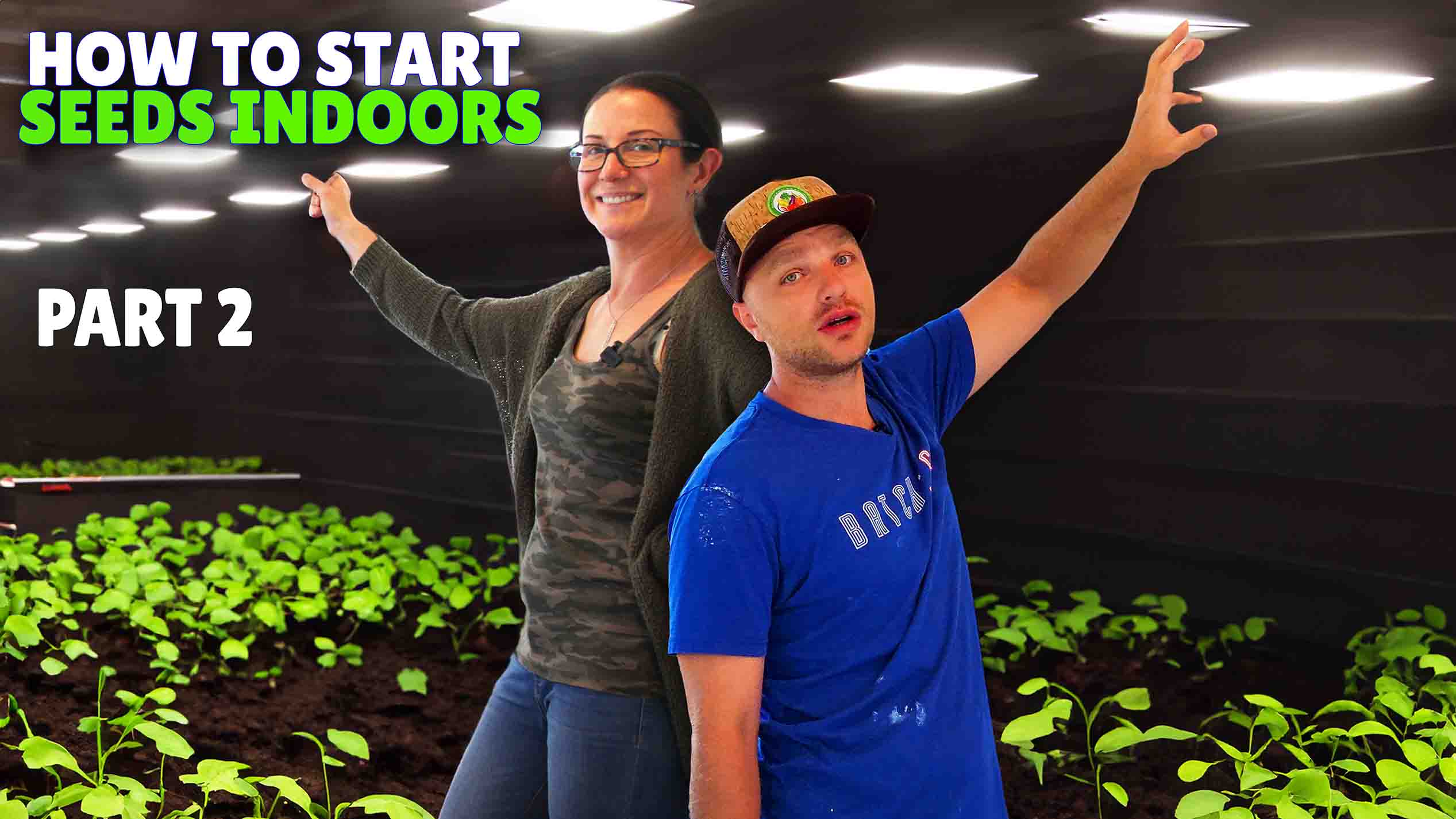 Creating the Ultimate Seed Grow Room Setup: Part 2 – Backyard Farming ...