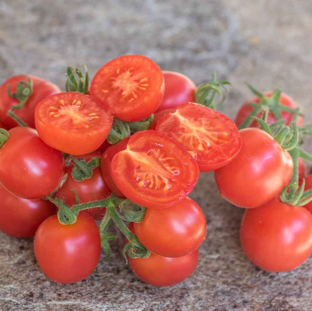 Dwarf Bendigo Rose Tomato – Backyard Farming Supply
